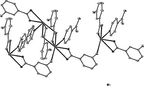 The Polymeric Structure Download Scientific Diagram