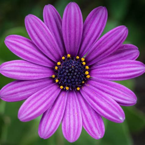 Scott Hemsley Youtube