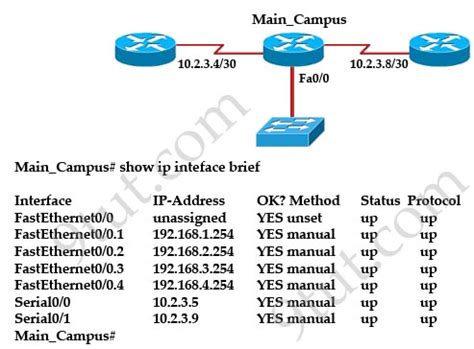 ICND ICND ICND VLAN Trunking