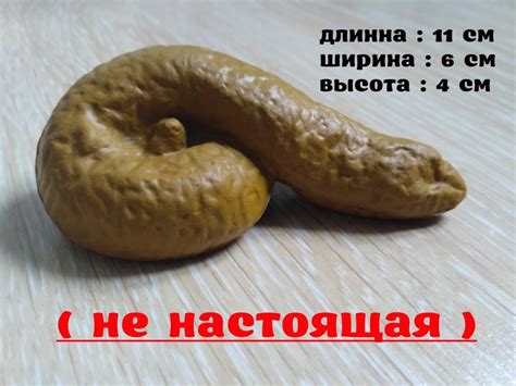 Смешные картинки Говно 30 фото