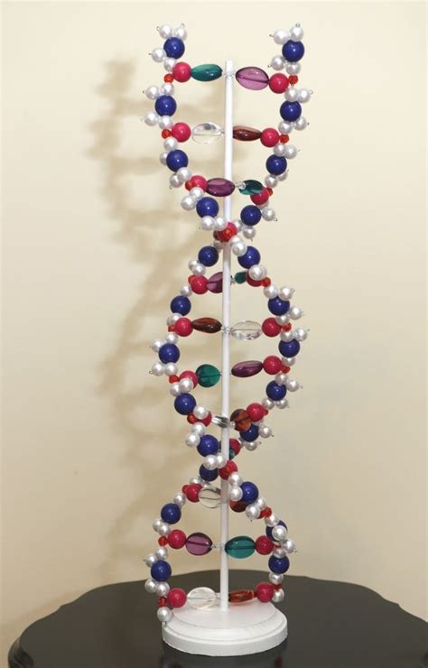 Dna Molecule 3d Dna Structure Onwil
