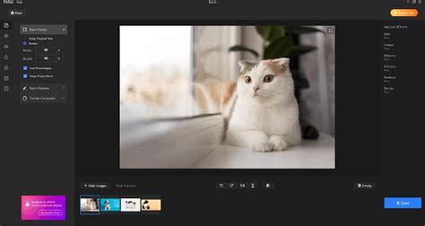 how to resize an image on mac easily [new guide ]