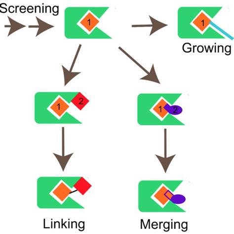 strategies for fragment optimization which includes growing linking