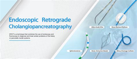 Cholangioscopy With Choledochoscope Ds Ii Direct Visualization System