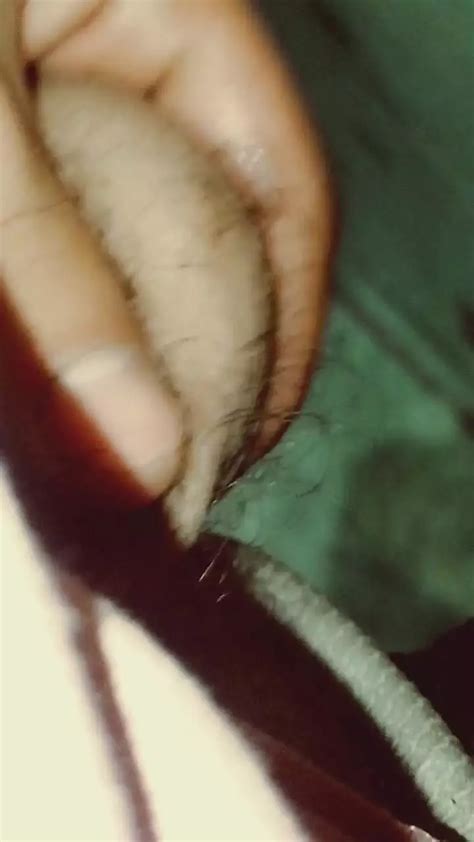 High Quality Colombian Porn Hd Big Tail Ready To Be Filled With Milk Gay Porn Xhamster