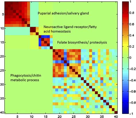 Modularity Clustering Of 40 Transcripts Significant For A Download