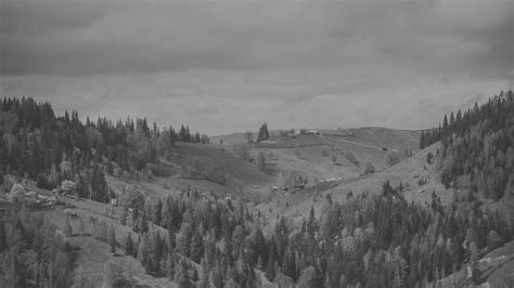 Lobo Comic Venerables Projects