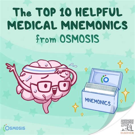 The Top 10 Helpful Medical Mnemonics From Osmosis Osmosis Blog