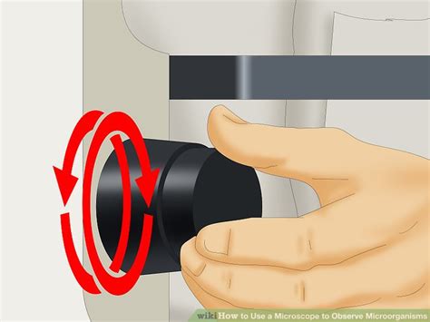 How To Use A Microscope To Observe Microorganisms 13 Steps