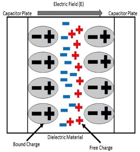 A Polarized Dielectric Material Download Scientific Diagram