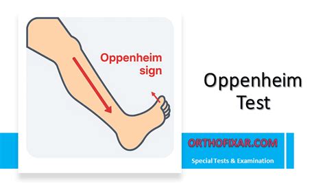 Wechsler Digit Span Test Explained Easily Orthofixar