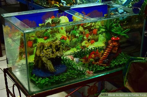 How To Set Up A Turtle Tank 12 Steps With Pictures WikiHow