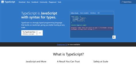 Top Programming Languages For Software Engineers In 2025