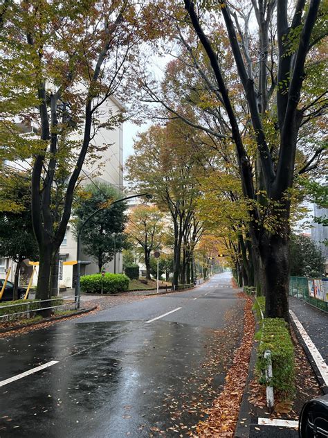 오늘 아침도 비가 온다 며칠 전까지 아이는 반팔을 입었었는데 갑자기 날씨가 쌀쌀해져서 겉옷 목도리까지 중무장이다 손도 꽁꽁 발도 꽁꽁 낙엽 떨어지는 분위기 있는