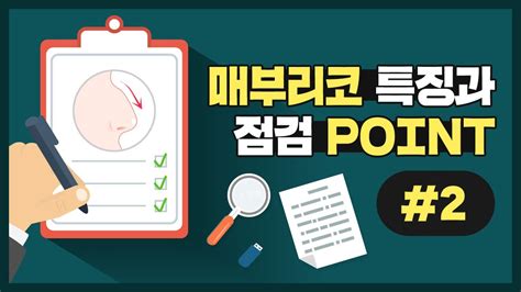 매부리코 2 매부리코 성형 전후 사례 Youtube