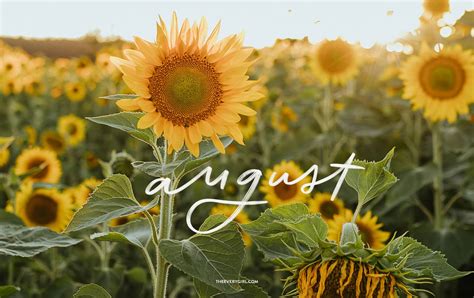 Stunning August Wallpapers For Every Device