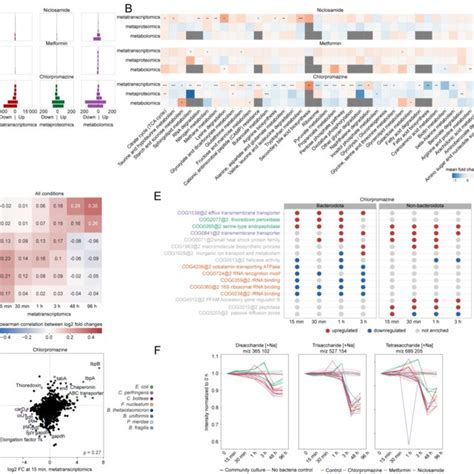 Functional Analysis Of Transcript Protein And Metabolite Response