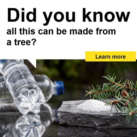 Bio Based Innovations Biomaterials For A Renewable Future