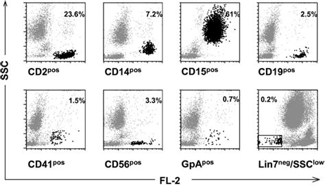 Lin Marker Molecules Cd2 T Cell Cd14 Monocyte Cd15 Download