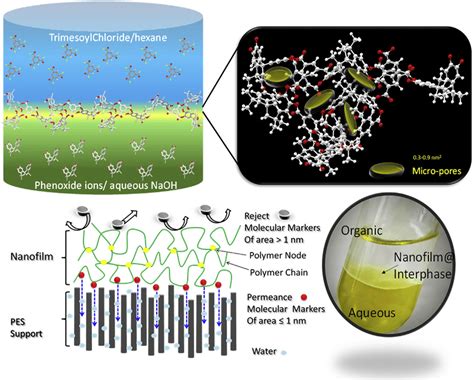Scheme Presence The Formation Of Polyaryl Nanofilm At The Interphase Download Scientific