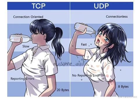 Tcp 与 Udp：深入解析两种网络协议的主要区别tcp和udp原理图比较 Csdn博客
