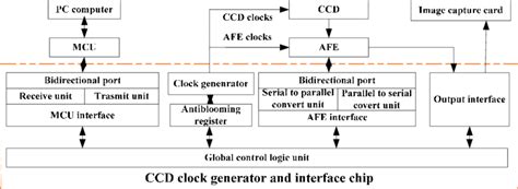 Overview Of The Chip Download Scientific Diagram