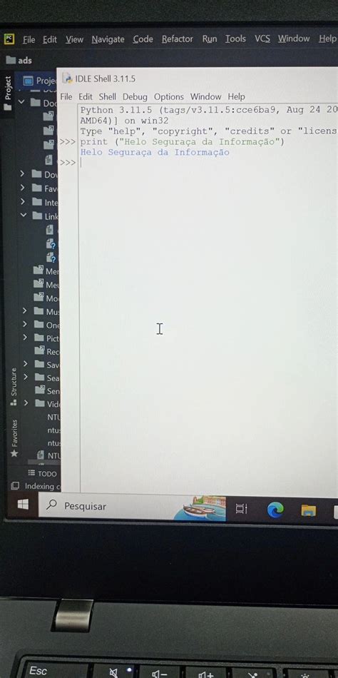 Linguagem De Programação I Python Camila Moraes