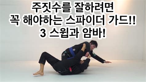 스파이더 가드 정복 스윕과 암바 YouTube