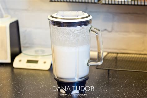 Branza Dulce Si Lapte Din Nuci Caju Dana Tudor Love To Cook