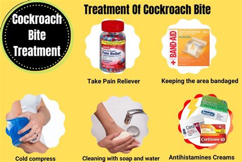 What Is The Treatment For Cockroach Bite A Visual Guide The