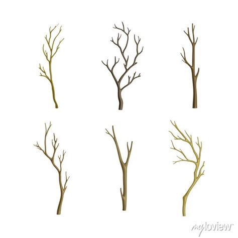 Bare Tree Branch Or Twigs With Naked Stem And Snag Vector Set Wall Stickers Vector Art