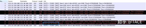 Wireshark Ts 虚假的 Tcp Spurious Retransmission 知乎