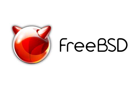 Freebsd Issues An Emergency Fix For Severe Openssh Security Flaw Cio News