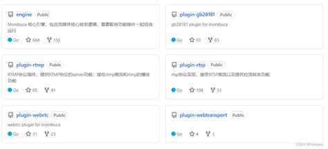 Web端接入视频设备（nvripc）开源nvr Csdn博客