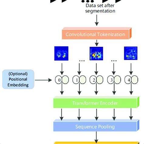 Our Compact Convolutional Transformer Models Download Scientific Diagram