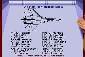 F 19 Stealth Fighter My Abandonware