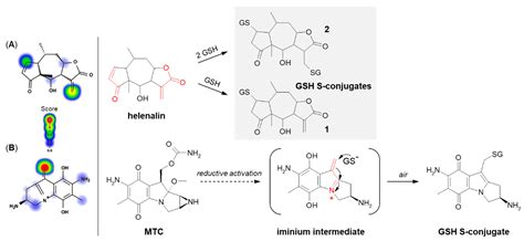 Glutathione Mediated Conjugation Of Anticancer Drugs Encyclopedia Mdpi