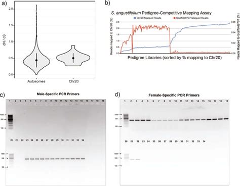 Newly Identified Sex Chromosomes In The Sphagnum Peat Moss Genome