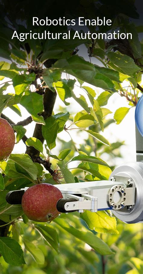 insight tech on linkedin autonomous mobile robots built for demanding