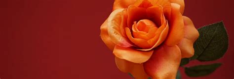 Structural Diagrams In Uml