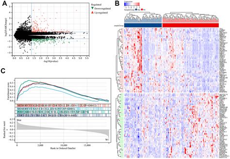Development And Validation Of A Muc16 Mutation Associated Immune