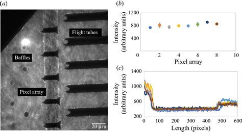 Fluidic Operation Of A Polymer Based Nanosensor Chip For Analysing Single Molecules Flow