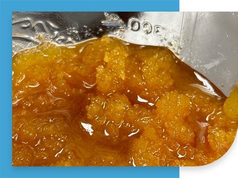 Sacred Sun Farms Third Party Extraction Services