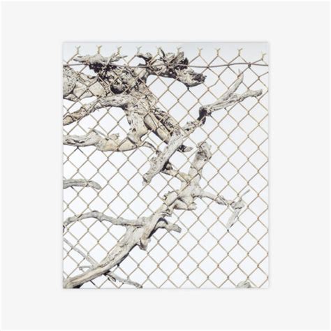 Sayre Gomez • Artist • Jrpeditions