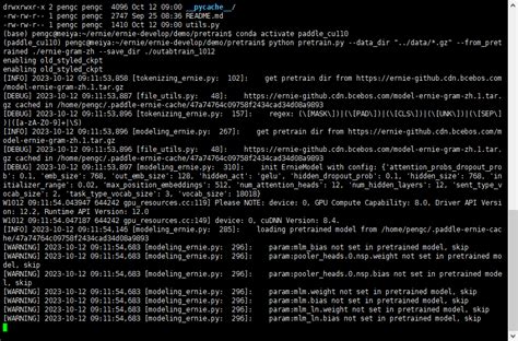 预训练的时候在加载模型的过程中卡住 · Issue 917 · Paddlepaddleernie · Github