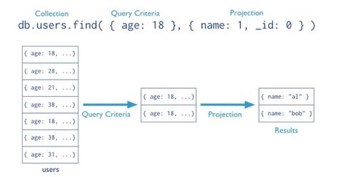Read Operations Tutorial