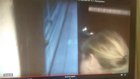 Strength Test On A Chimp Fails To Pull 95 Kg And Has A Tantrum R Chimpanzees