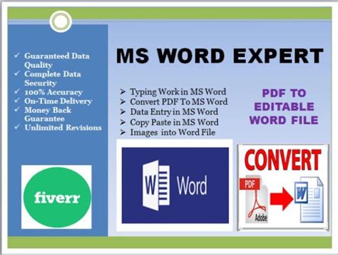 Do Data Entry Copy Paste Pdf To Word Or Excel And Typing By Ritu Fiverr