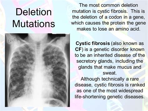Deletion Mutation Effects