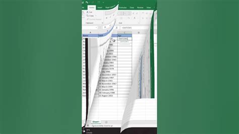 How To Age Calculation In Excel Excel Educationgenix Excelshortcuts